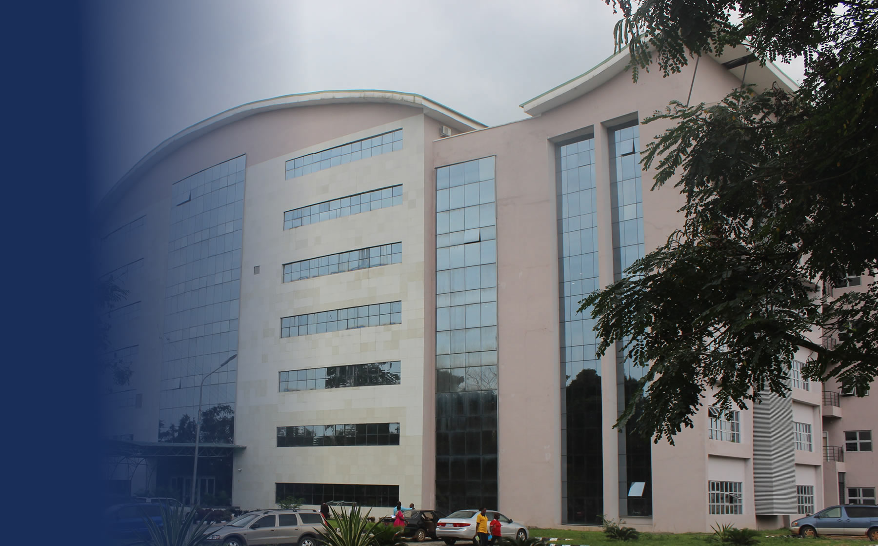 Welcome to CApIC-ACE : Home